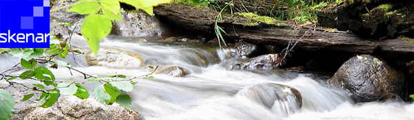 Skenar Oy - vaihtoehtoja liiketoiminnan kehittämiseen